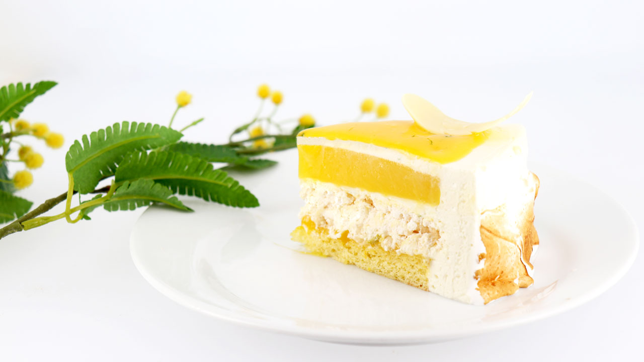 Quelle mousse pour entremets : chocolat, mousse au fruits… | Cerf Dellier