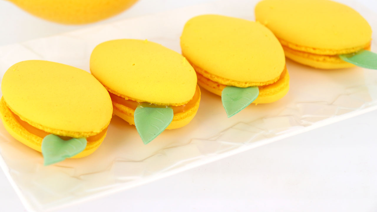 Tout savoir sur les macarons ? | Cerf Dellier